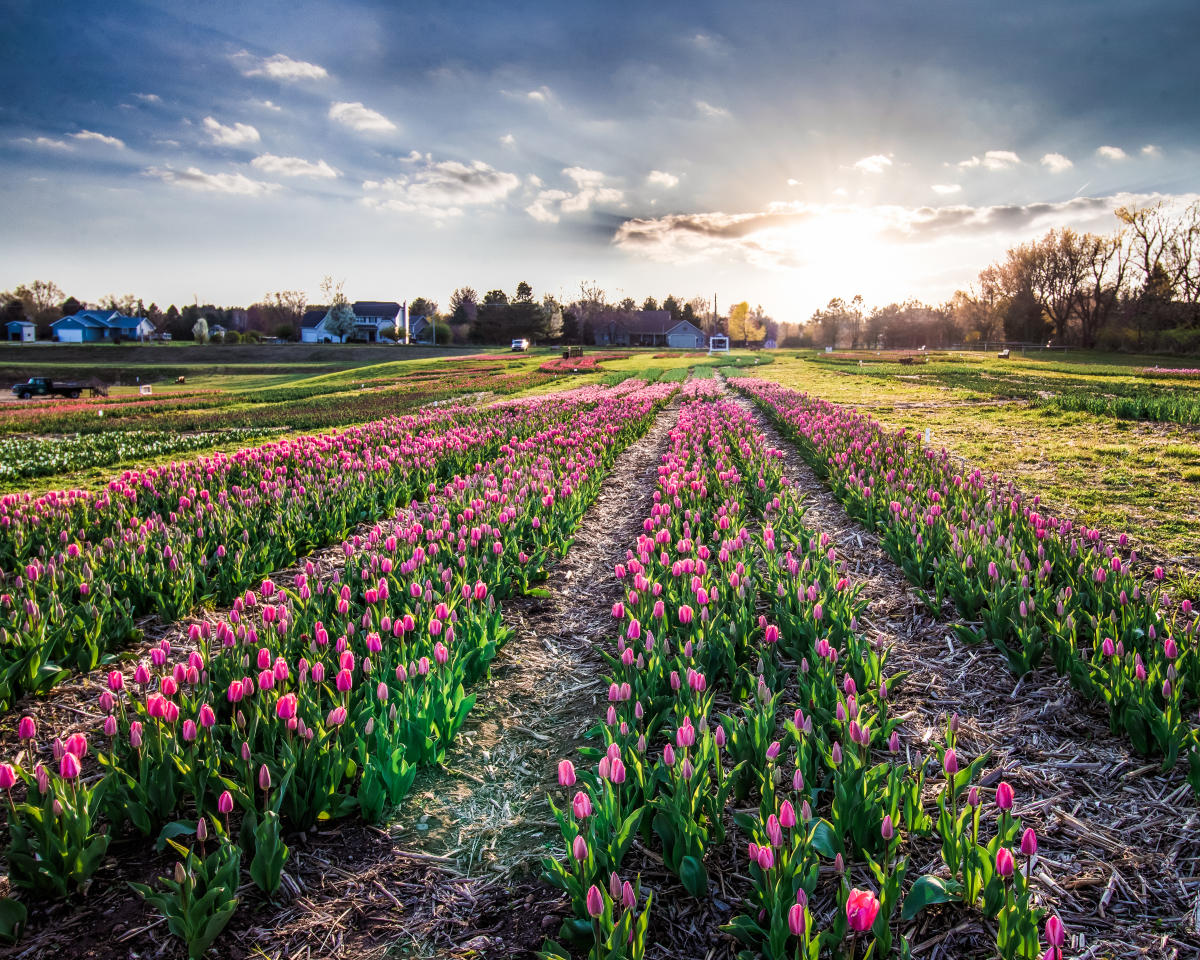 Spring Grove | McHenry County, IL