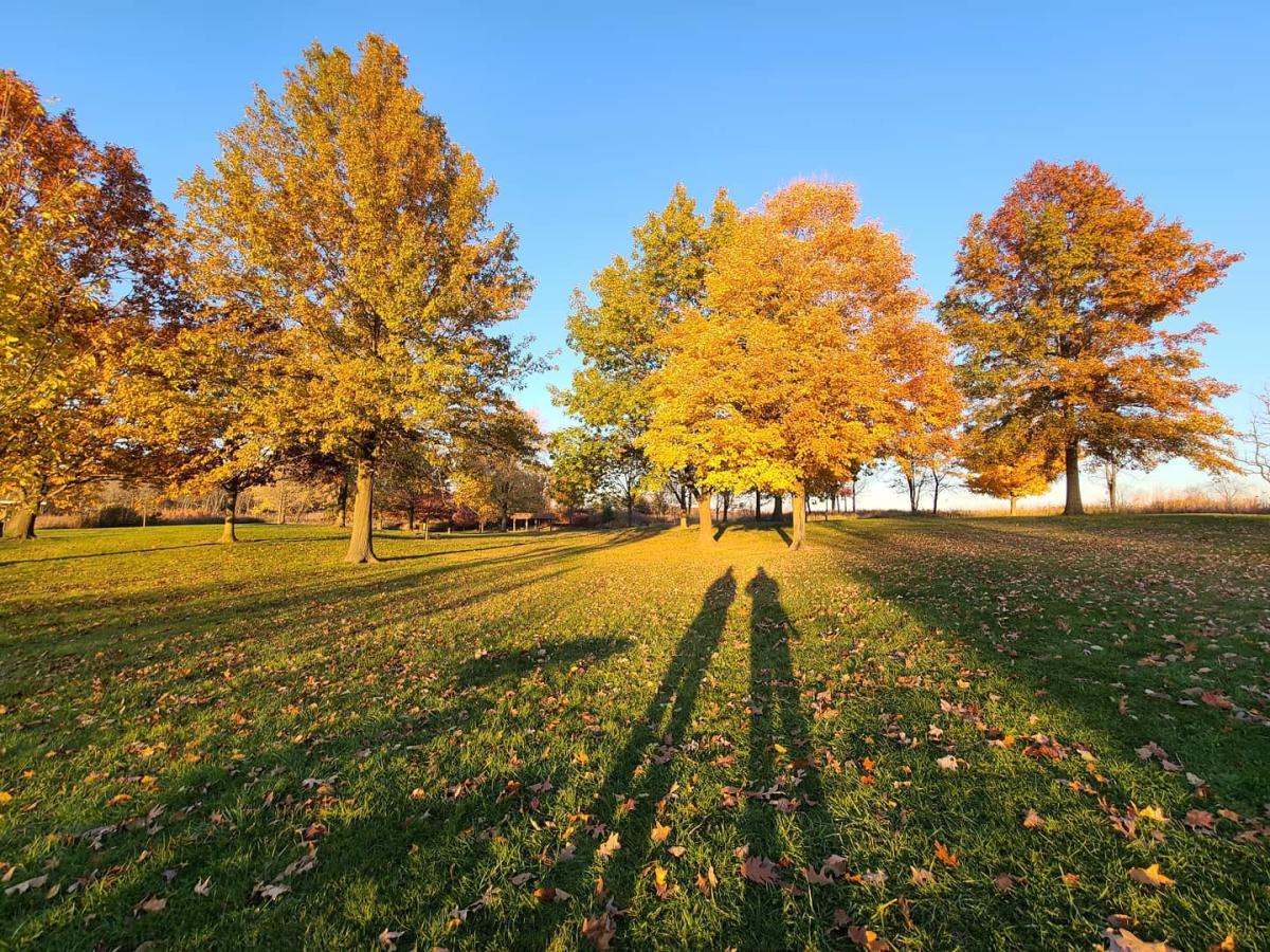 Fall Colors Unveiled | McHenry County, IL