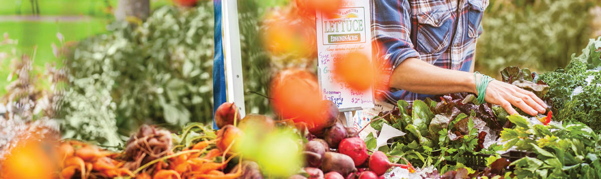 Illinois Road Trip Round-Up | Farmers Markets