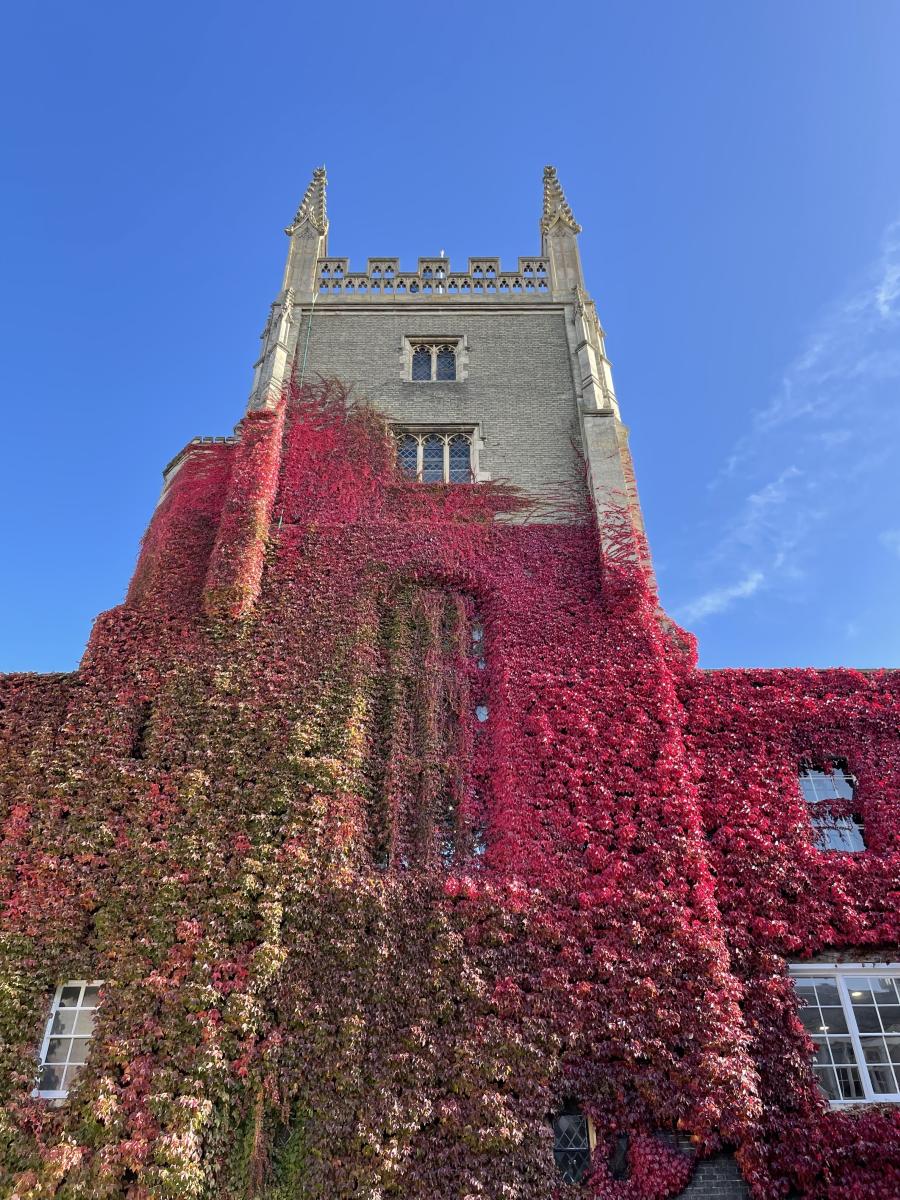 Going Green at The Pitt Building