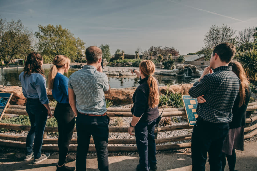 Join Chester Zoo for their corporate showcase