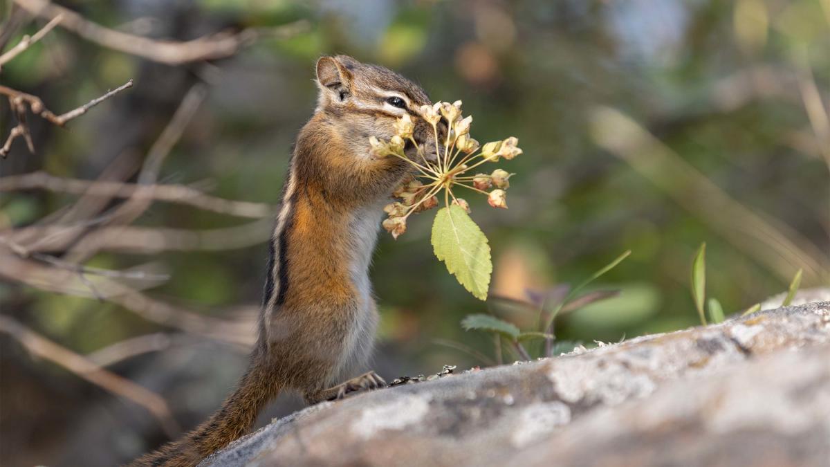 5 Crazy Spring Break Ideas