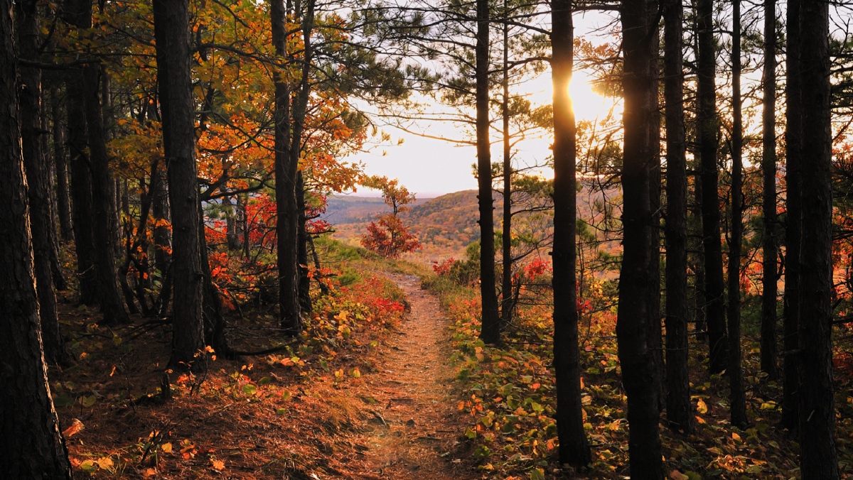 Biking, Hiking, ORV Trails | Upper Peninsula