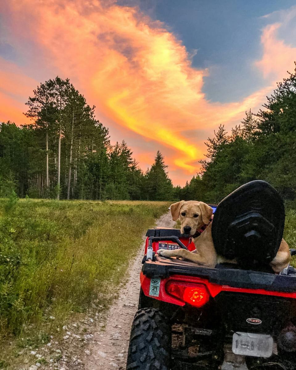 Delta County Michigan | Upper Peninsula
