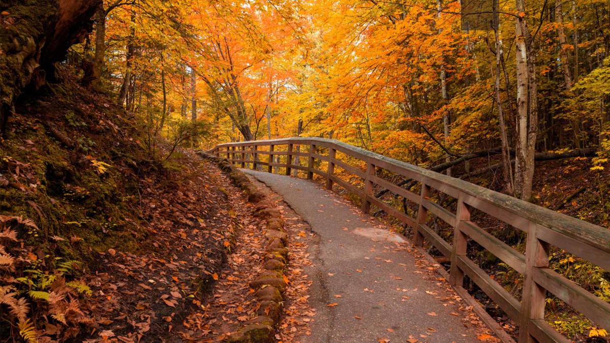 Top FREE things to do this fall in the Upper Peninsula