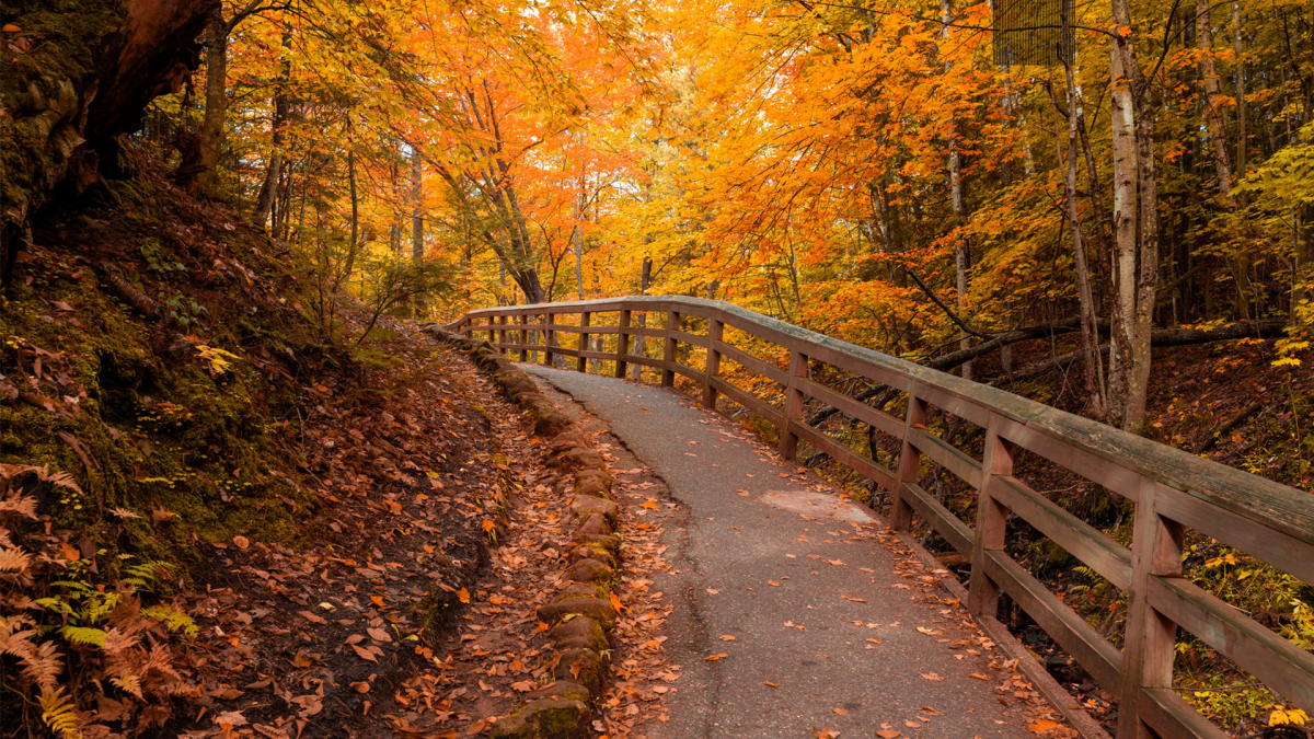 Top FREE things to do this fall in the Upper Peninsula