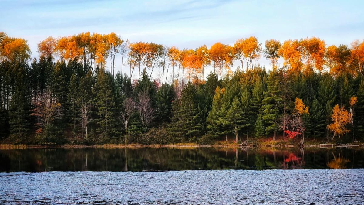 Adventure in Ottawa National Forest | Upper Peninsula