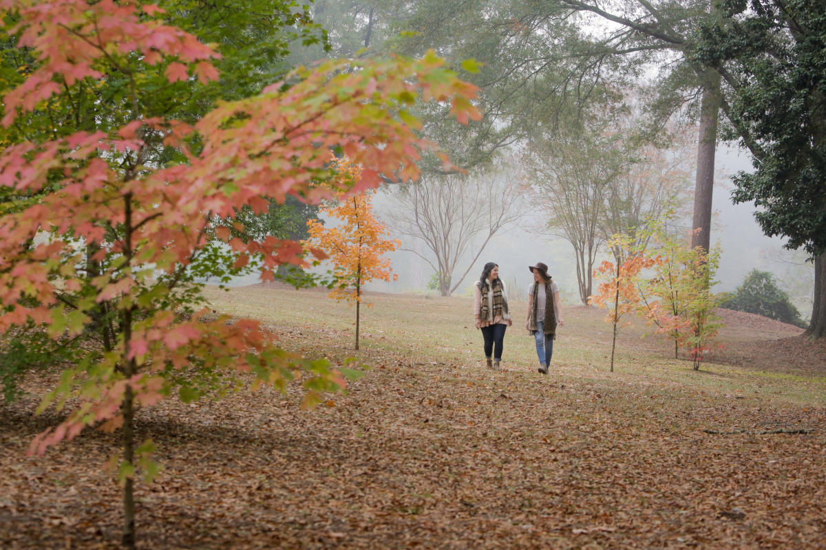 7 Crisp & Beautiful Autumn Walks