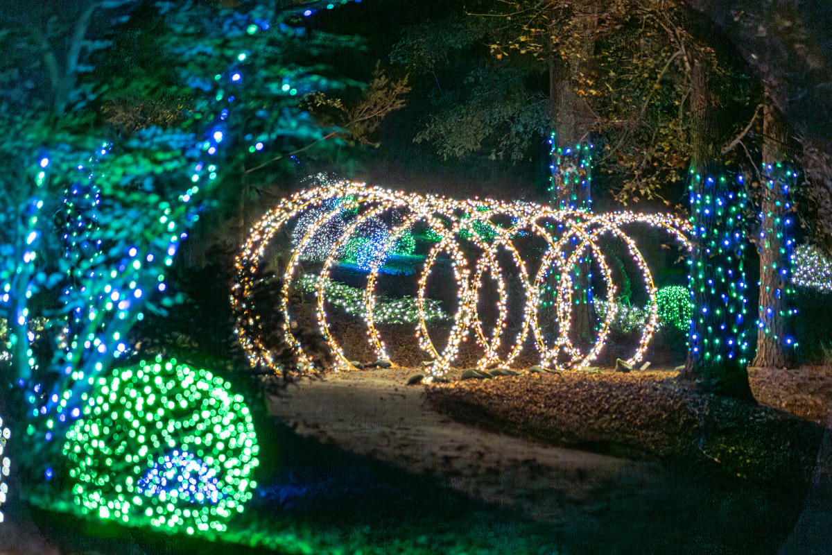 winter lights arboretum