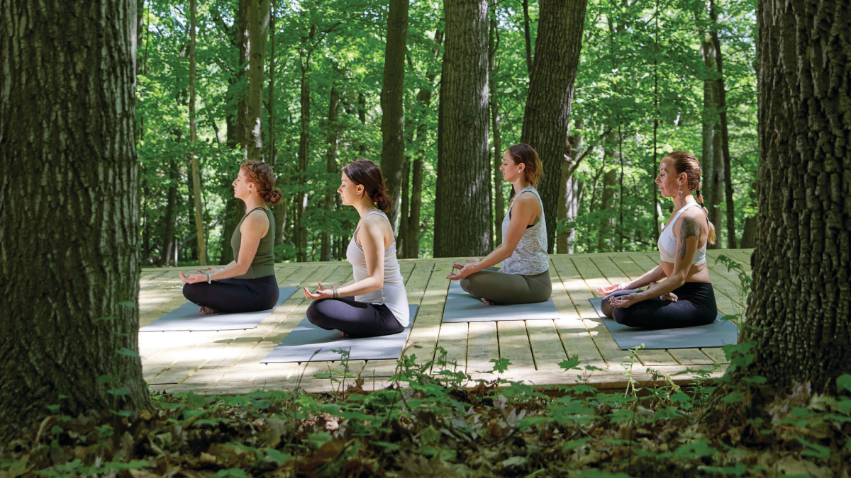 Find Your Wellness in Milwaukee