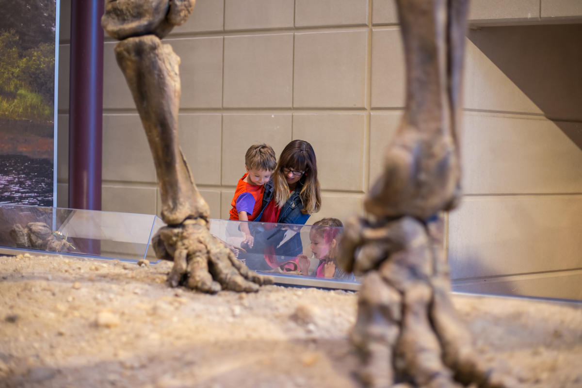 History & Museums in Milwaukee, WI | Exhibits & City Tours