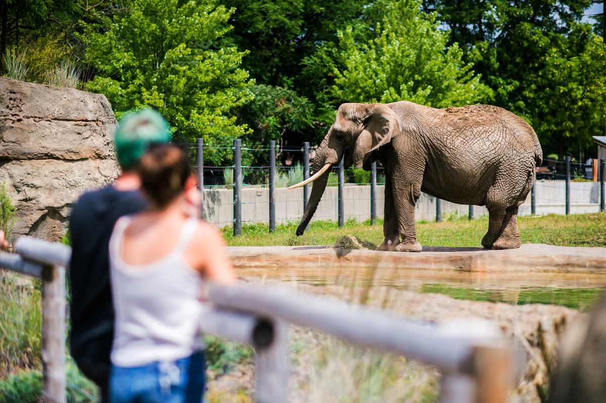Attractions - Milwaukee County Zoo