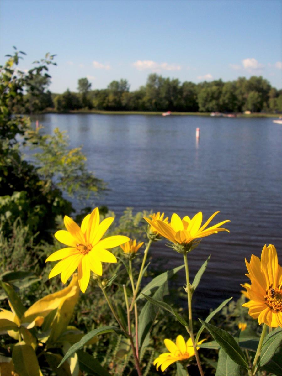 Summer Solstice Fun: The Best Ways to Spend Long Summer Days in ...