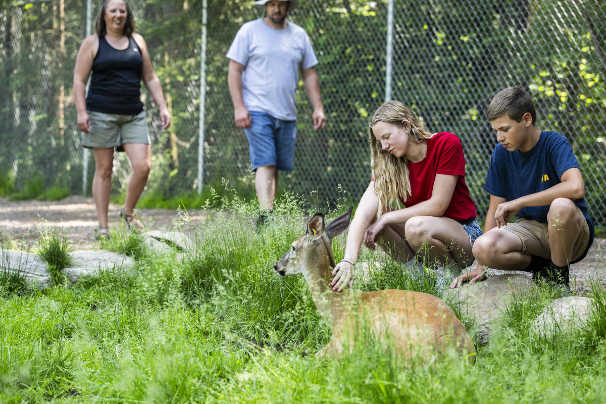 Wildlife in Minocqua | Wildlife Center & Zoo