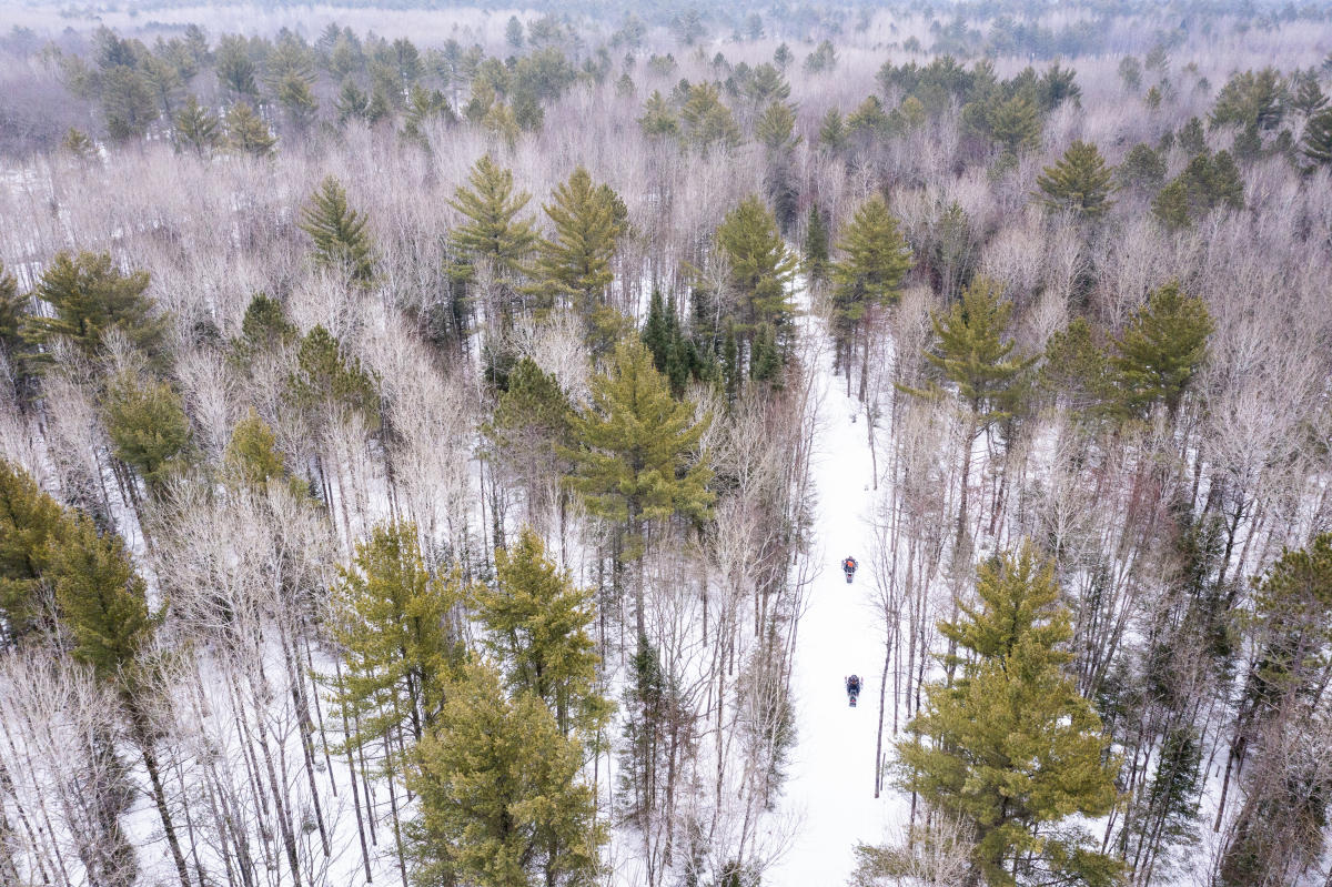 Northern Highland Amercian Legion State Forest | Minocqua, WI