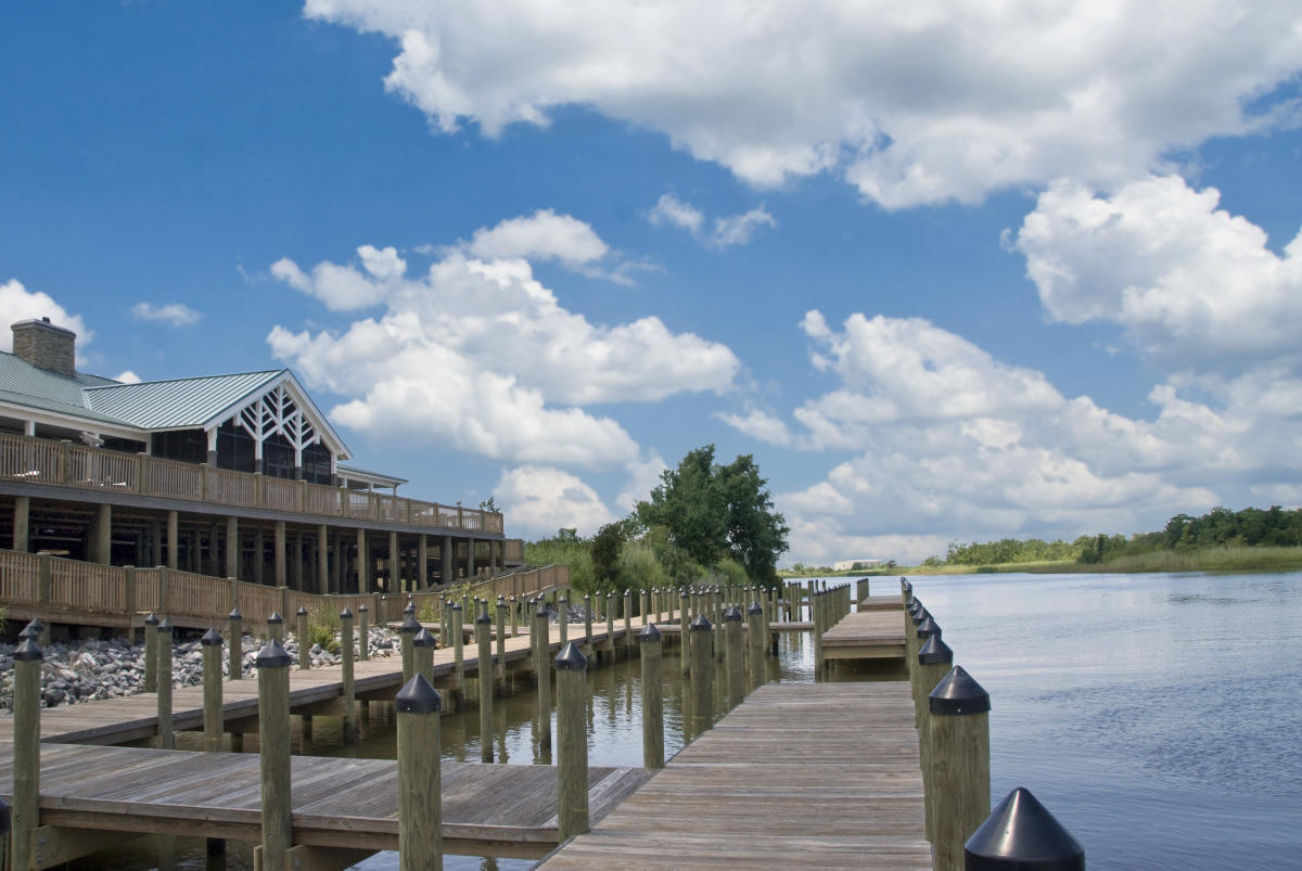 Explore the Tensaw River Delta | Alabama’s Amazon Awaits