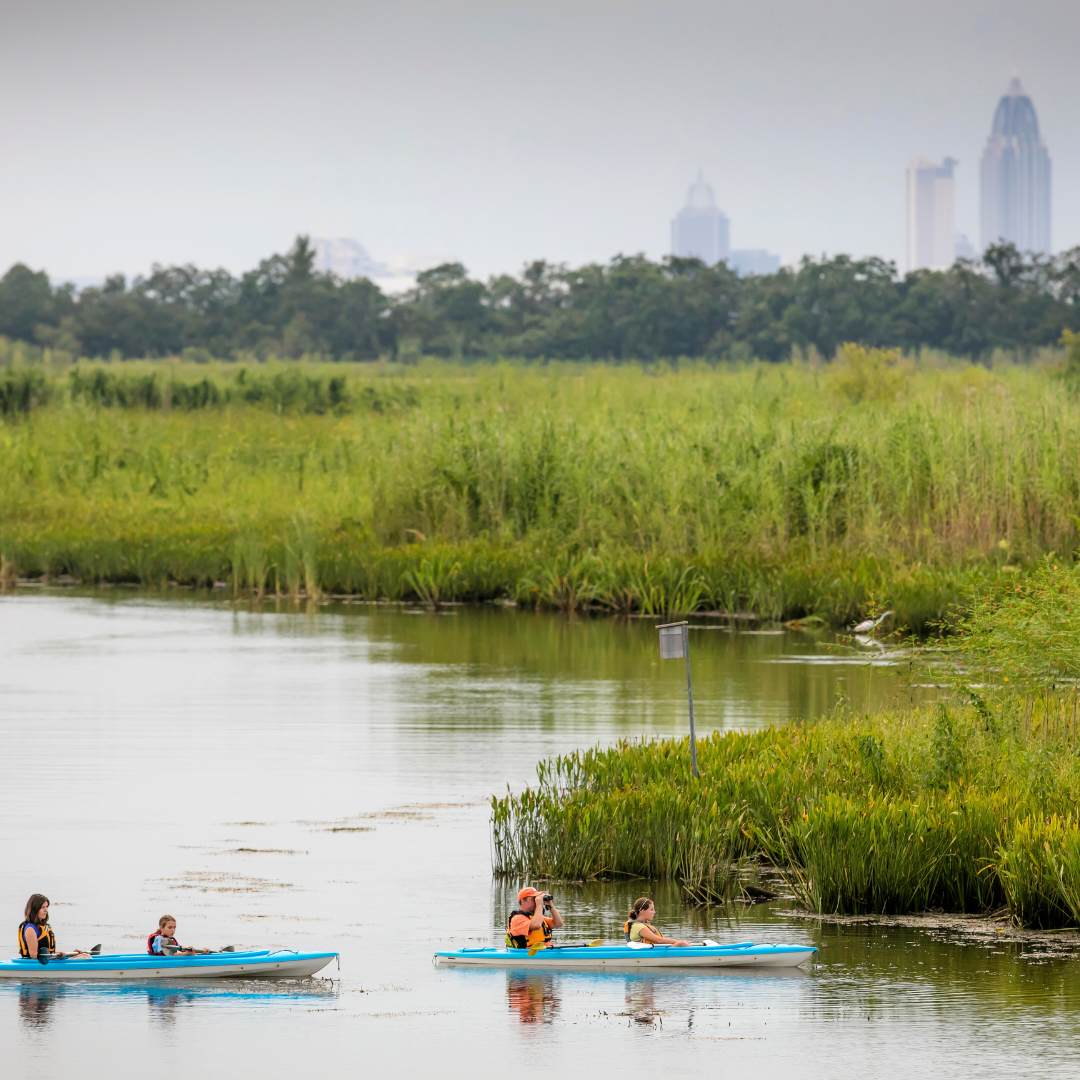 Urban and Natural Adventures | Rooftops to Rivers | Mobile, Alabama