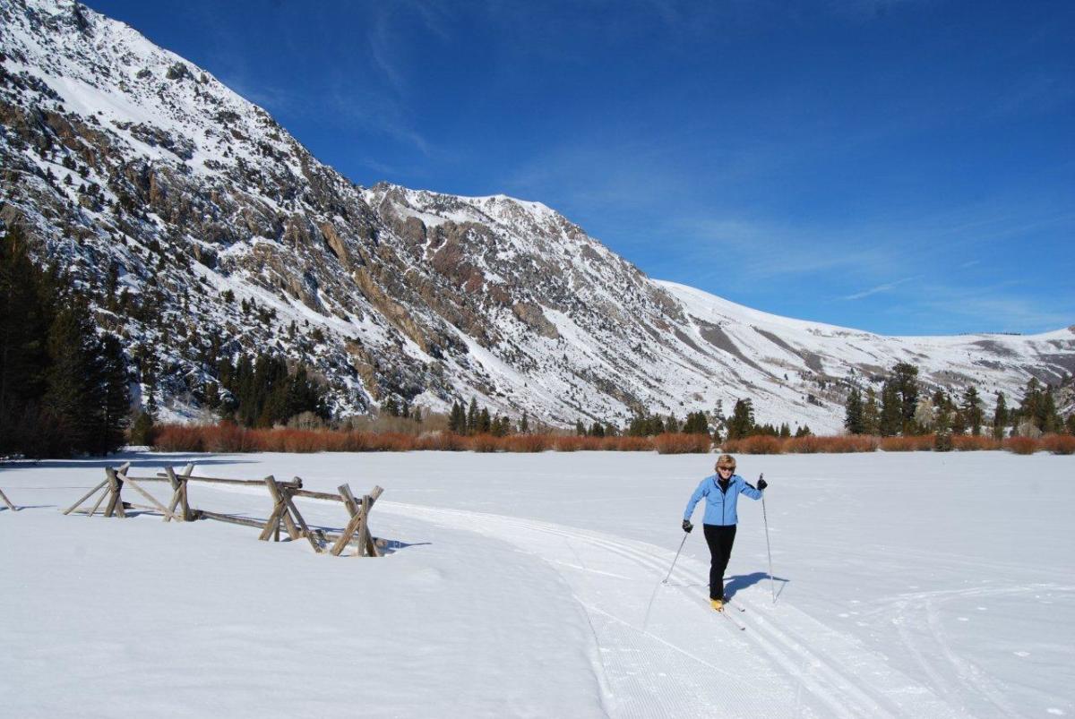 Things to Do in Mono County CA | Winter Activities