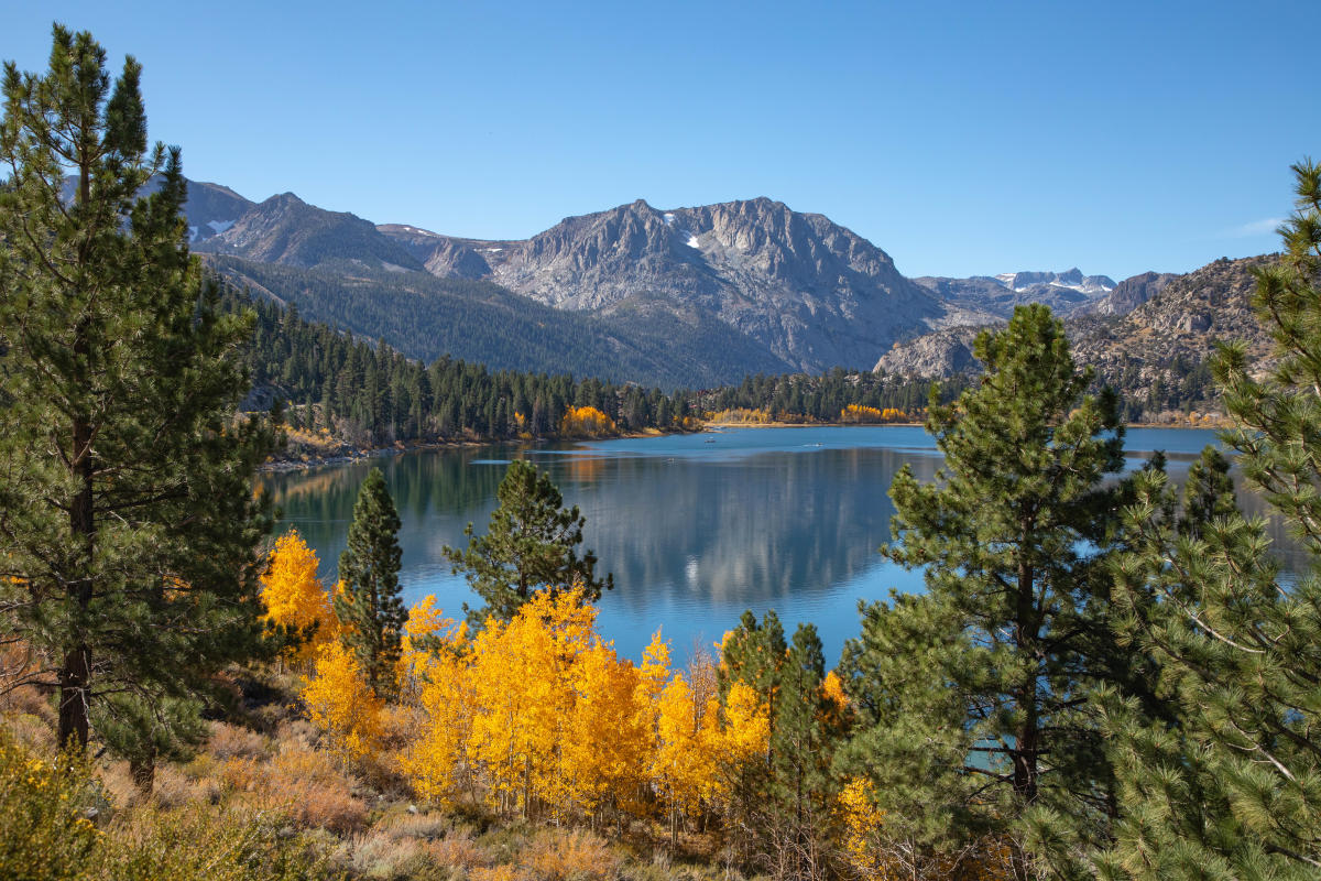 Plan Ahead for Peak Fall Color in Mono County