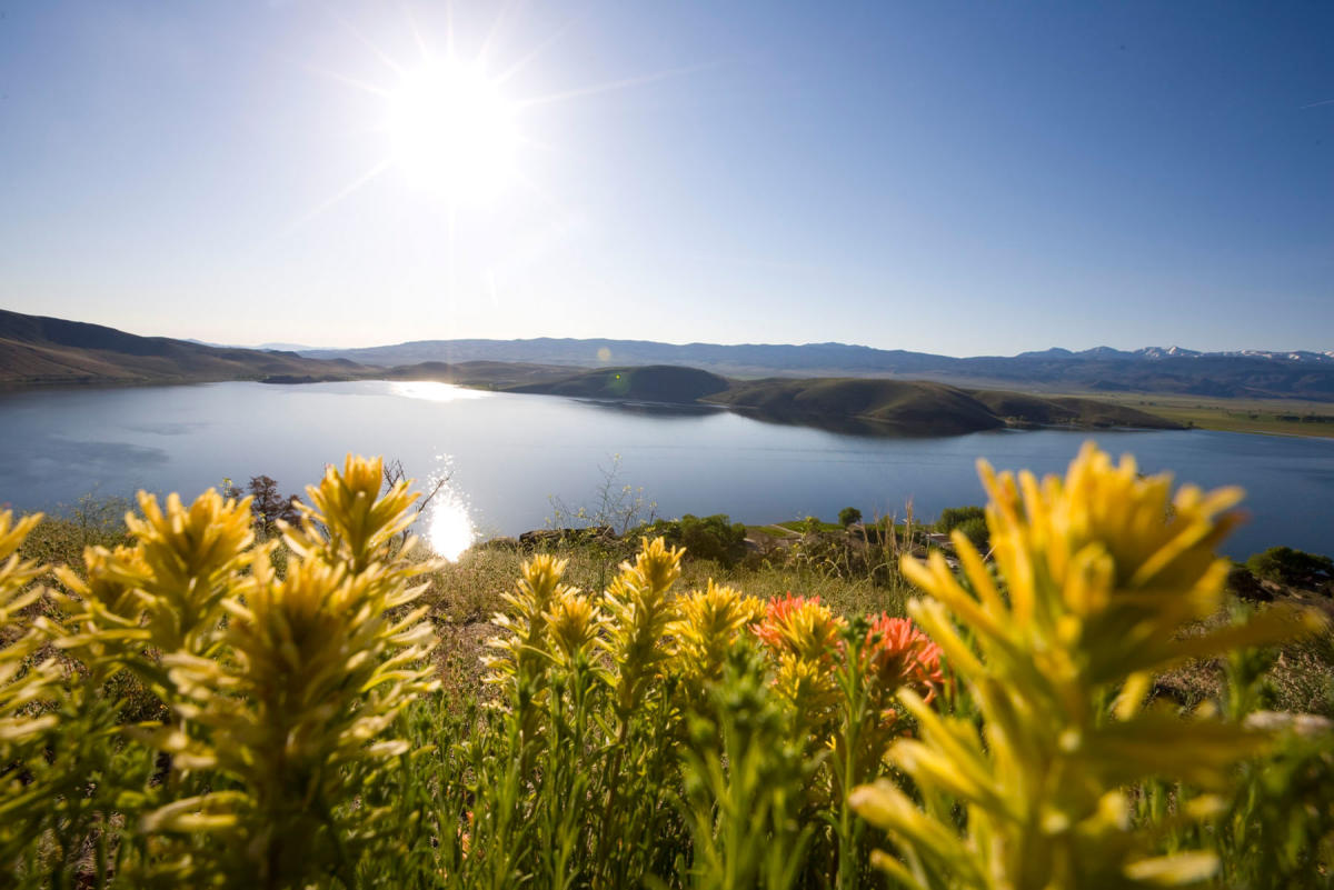 Topaz CA | Visit Mono County
