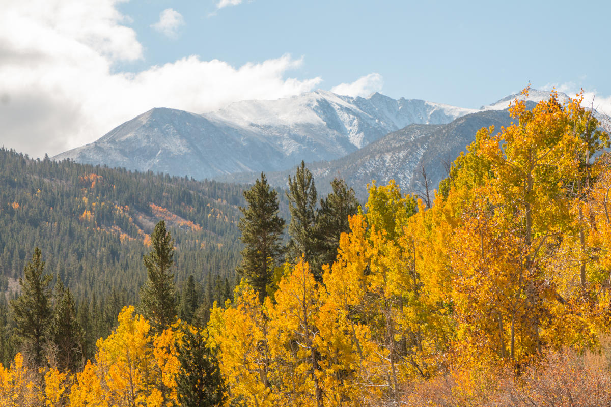 Frequently Asked Questions about Fall Colors