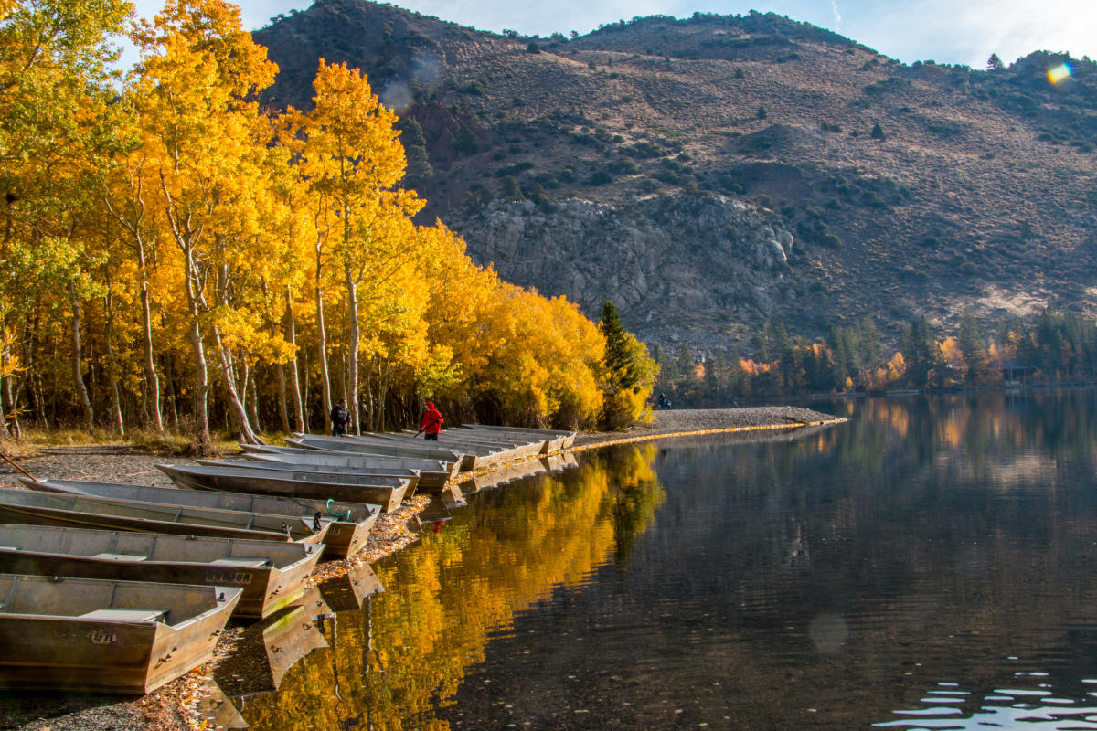 Fall Colors in Mono County
