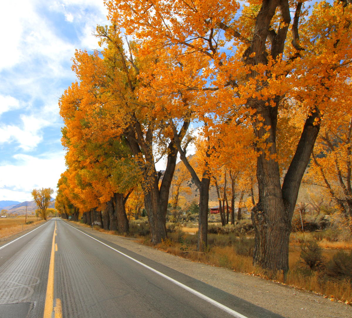 Coleville CA | Visit Mono County