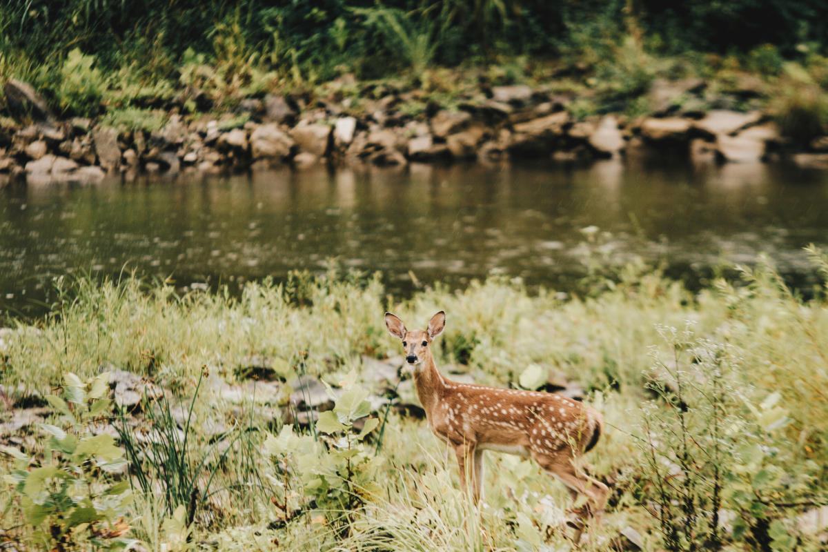 Off the Beaten Path - Morehead-Rowan County Tourism