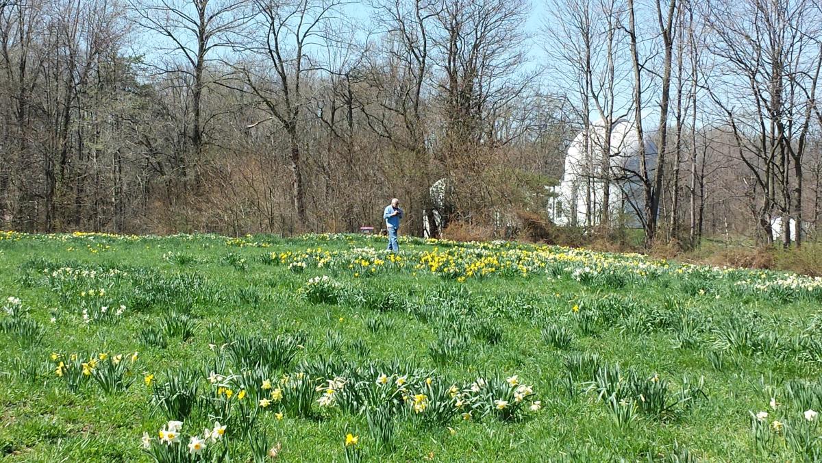 Looking Ahead to Spring