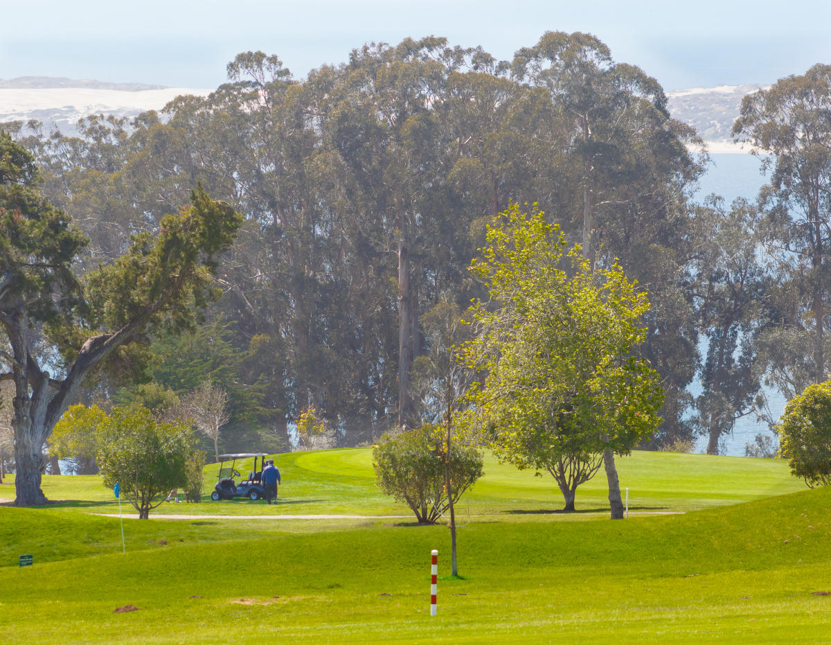 Morro Bay Golf - Morro Bay, CA