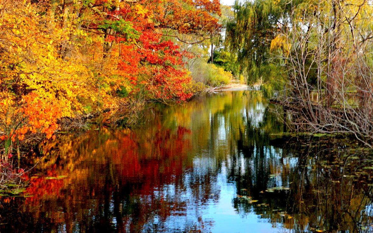 Top Ten Autumn Instagrams of 2023