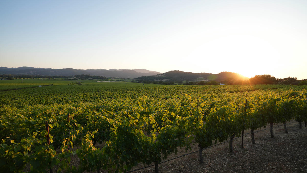 Four Seasons in Napa Valley | Best Time to Visit