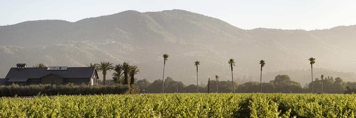 Rutherford, CA in Napa Valley | Wineries, Restaurants & Resorts