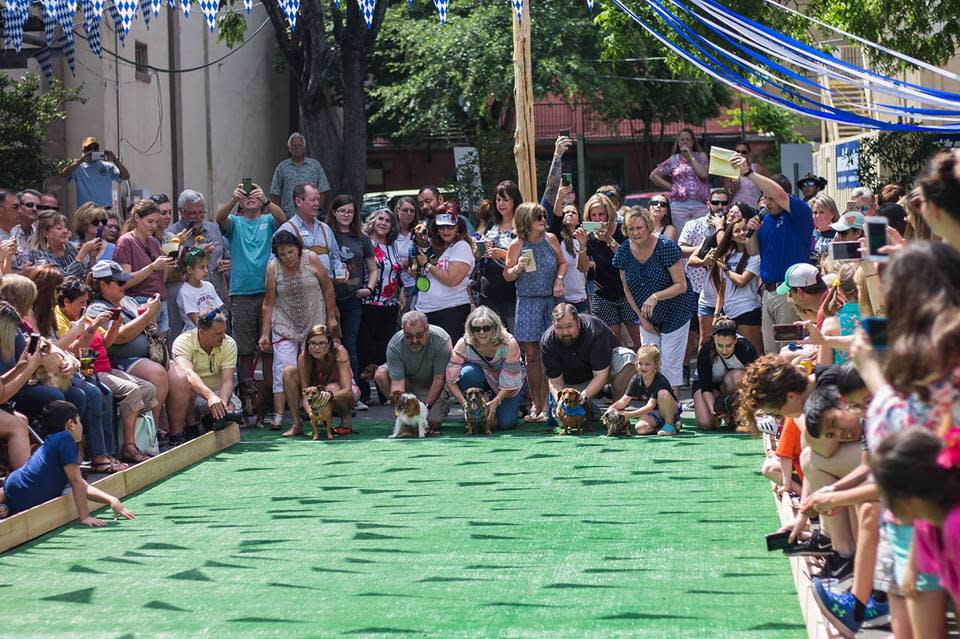 5 Not To Miss Events In January 5-not-to-miss-events-in-january