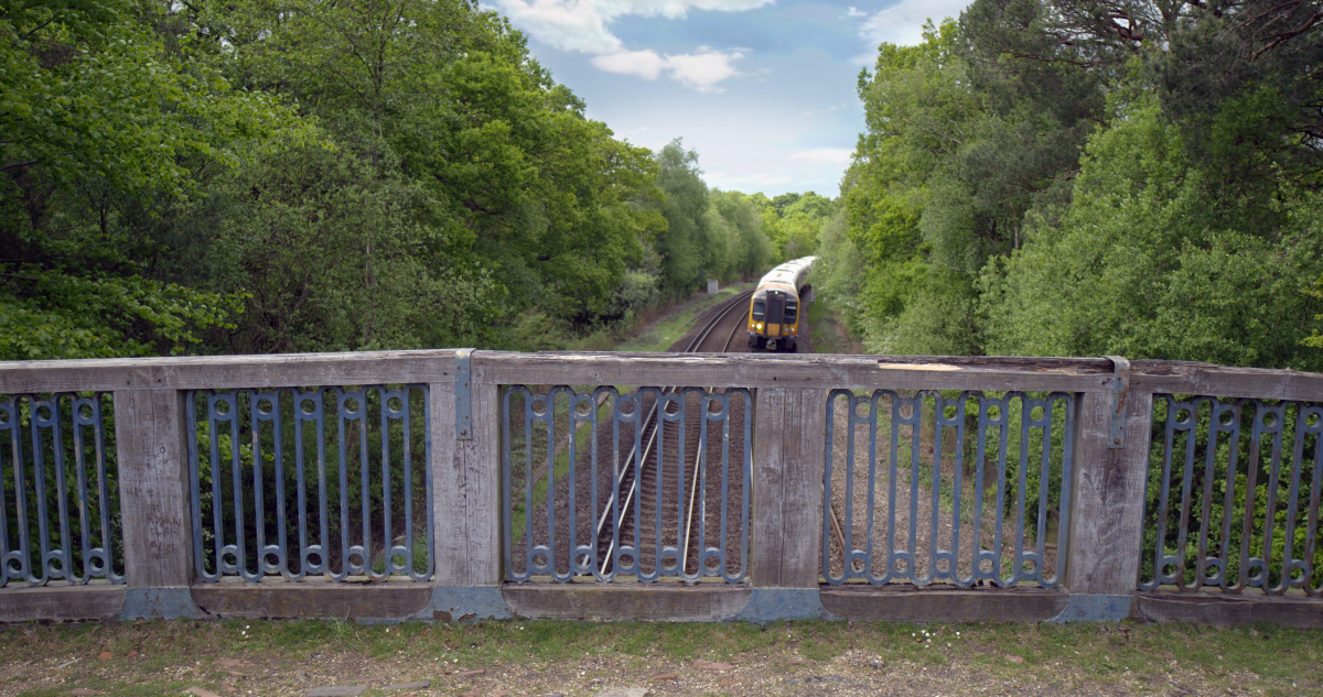 A guide : The New Forest by train