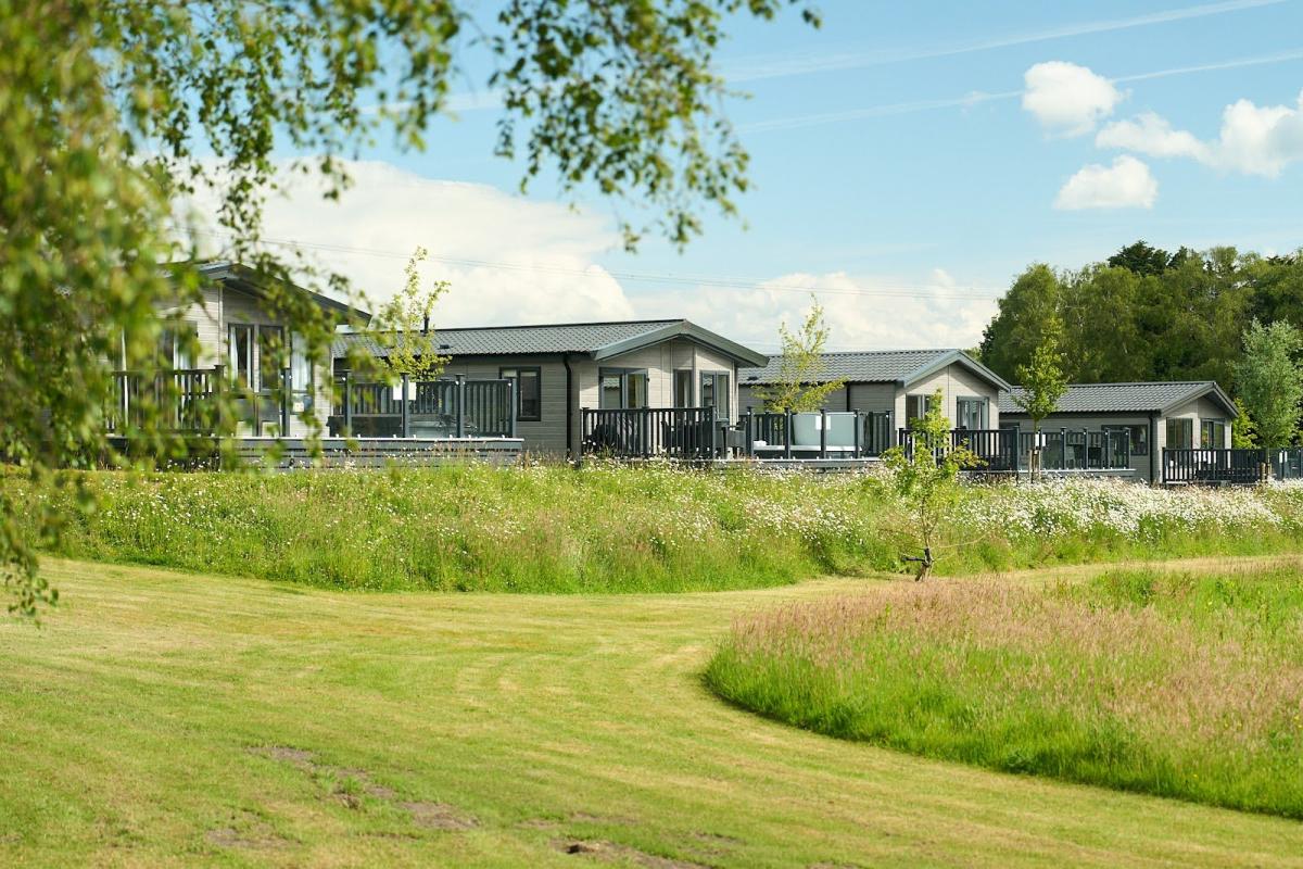 Unleash your New Forest adventure at Green Hill Farm