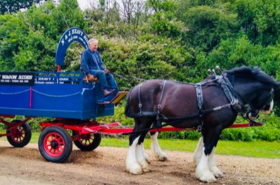 Top 10 Fun and Unusual Things to Do in the New Forest