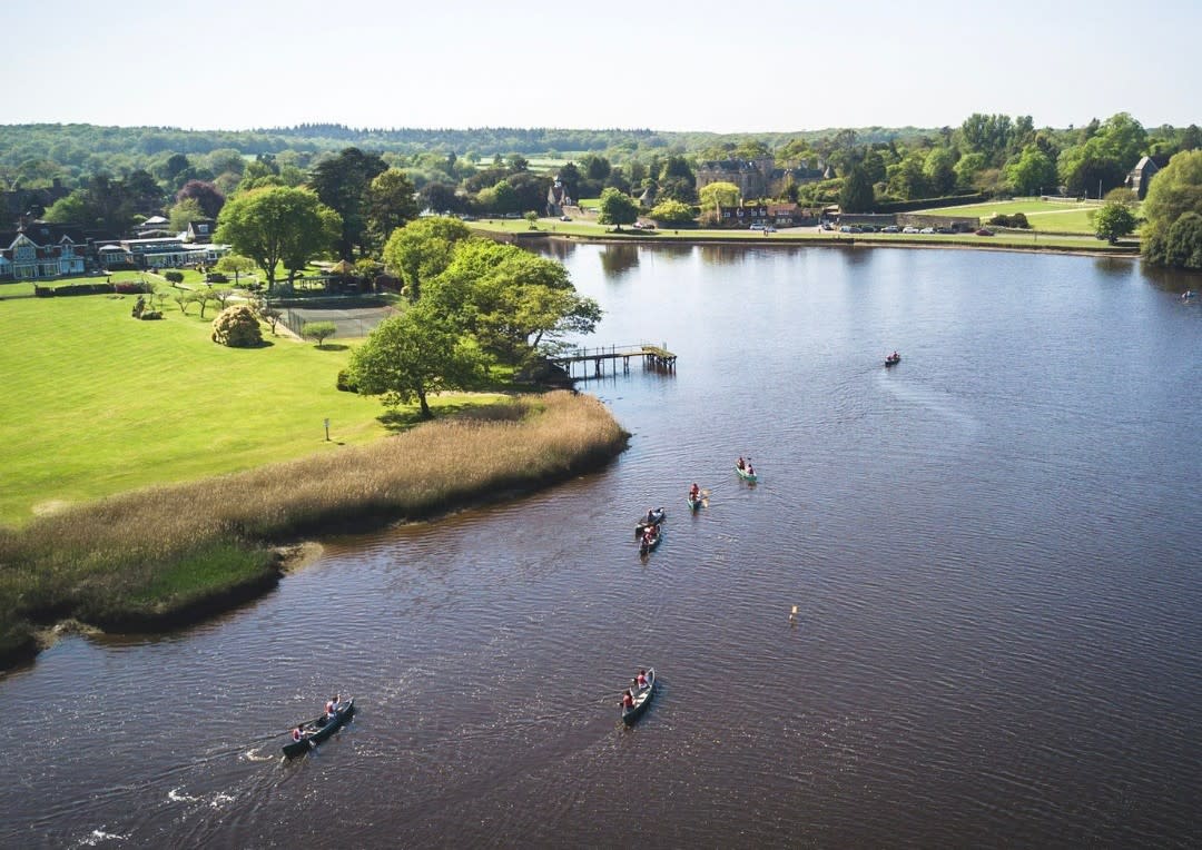 Best summer day trips in the New Forest
