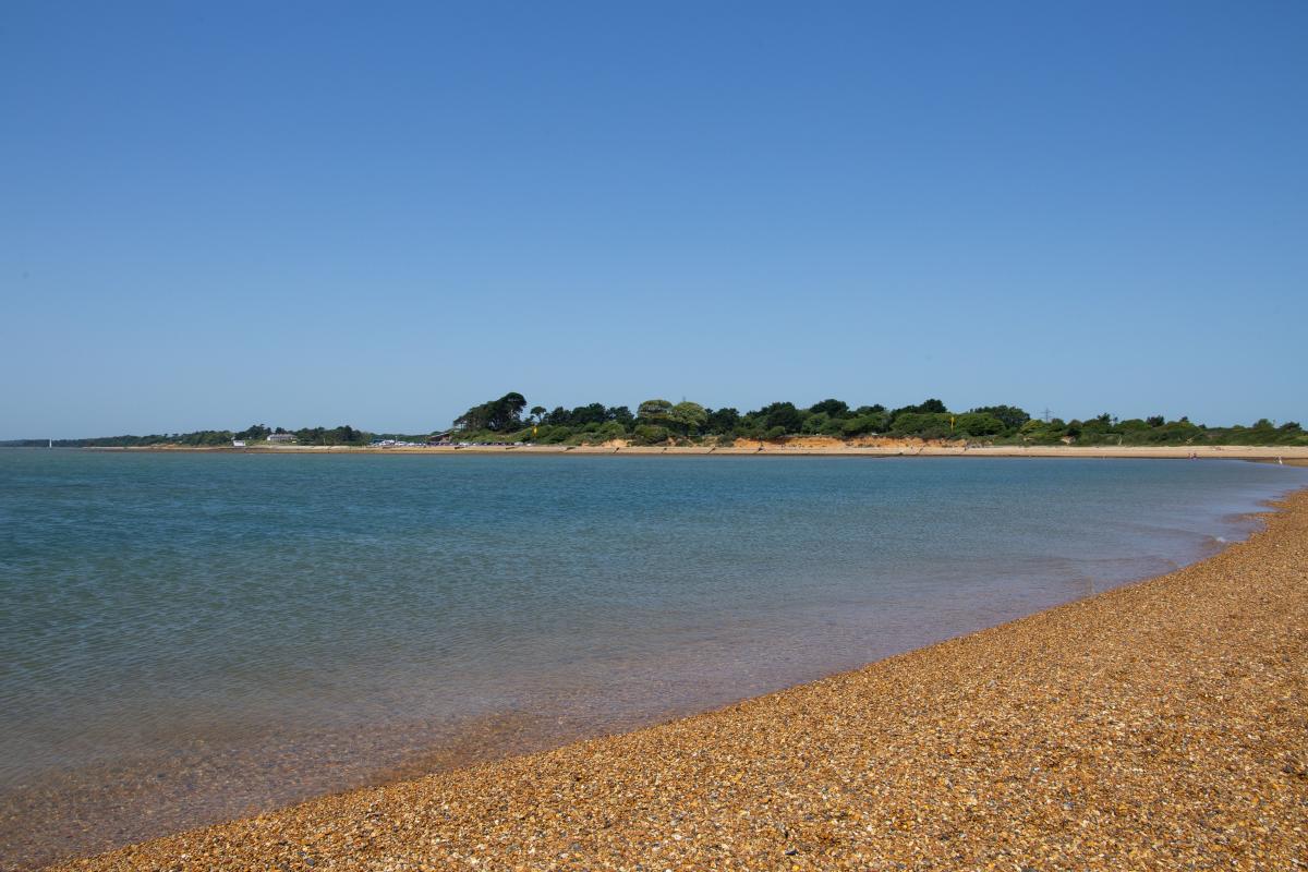 Top places to swim in the New Forest