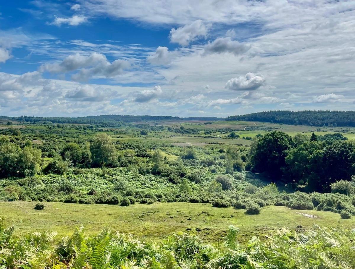 Nature View New York Scenic Vistas | New York Sightseeing & Outdoors