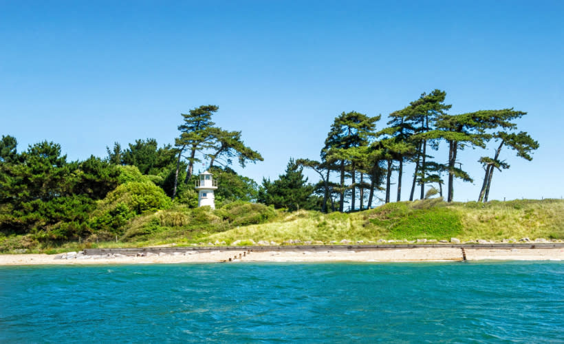 New Forest Coast | Explore Beaches, Views & Activities