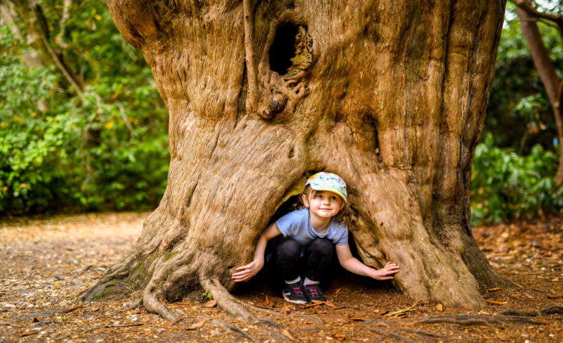 Family Days Out in the New Forest | Things to Do with Kids