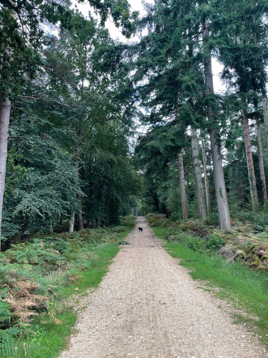 Lucy Hill Loop