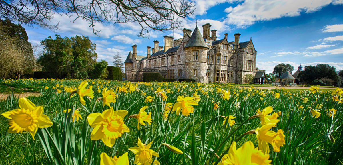 Top things to do in March in the New Forest