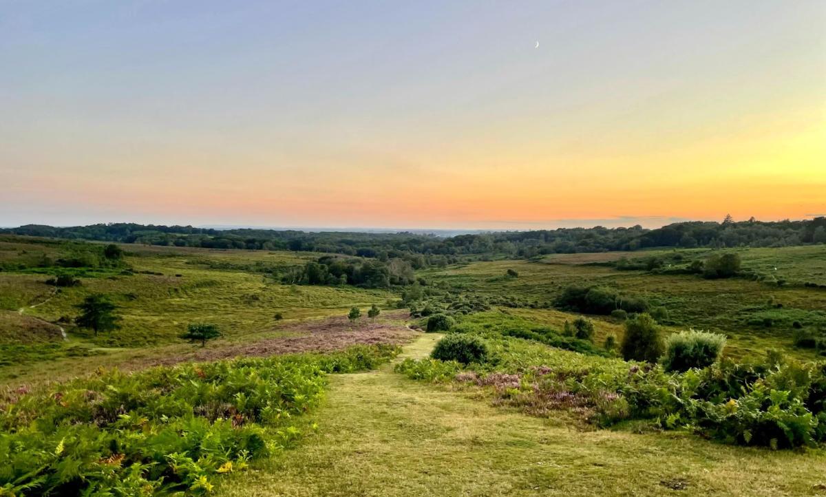The New Forest’s Top 10 Beauty Spots