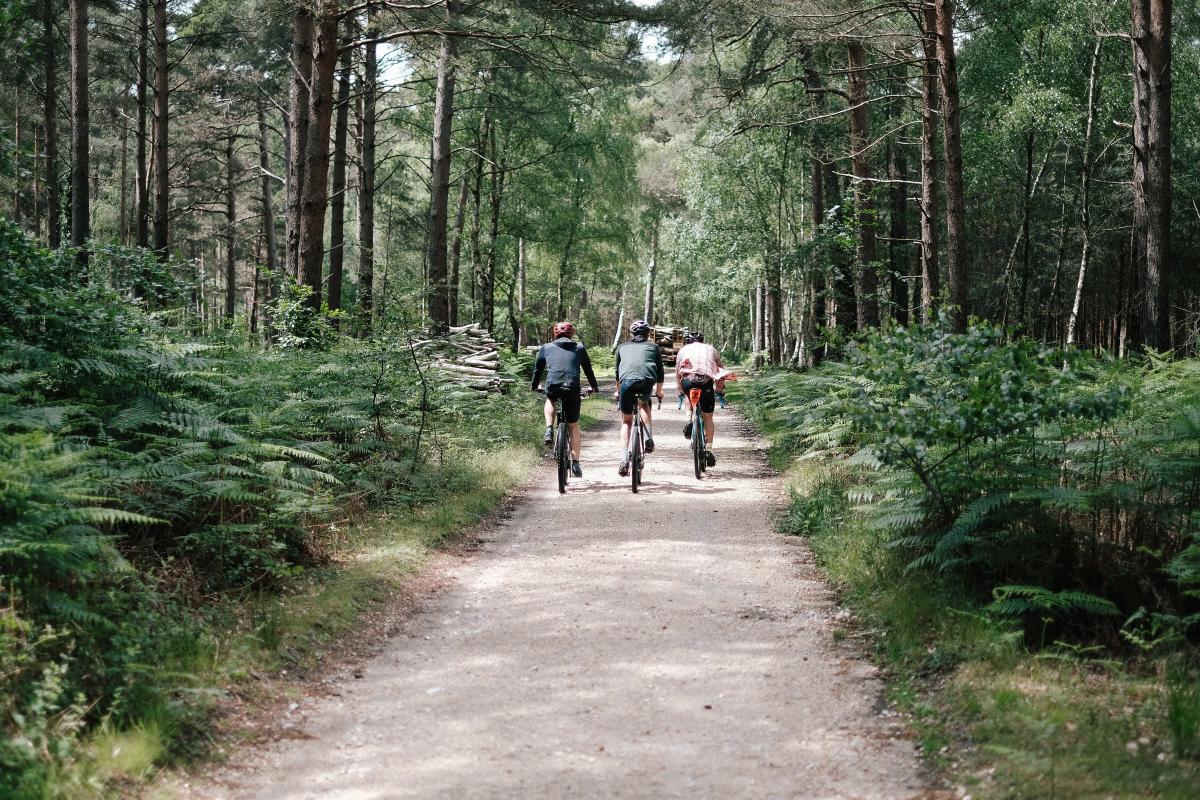 Long Distance Routes - Visit the New Forest