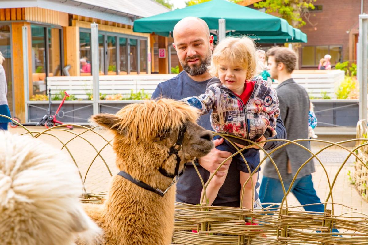 Epic Summer Events at Sandy Balls