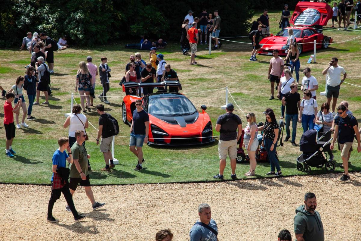 Top Things to Do in the New Forest in August