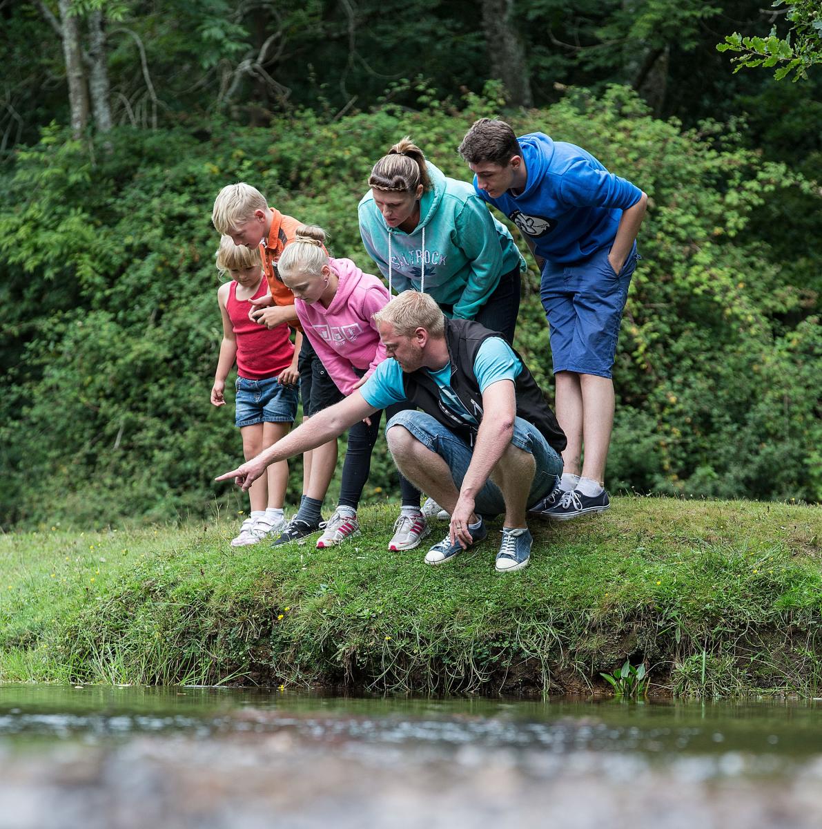 Top August Bank Holiday Events in the New Forest