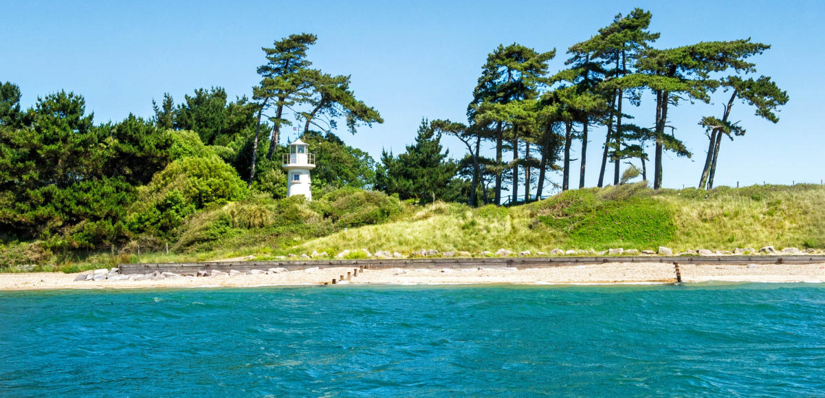 Top beach days in the New Forest